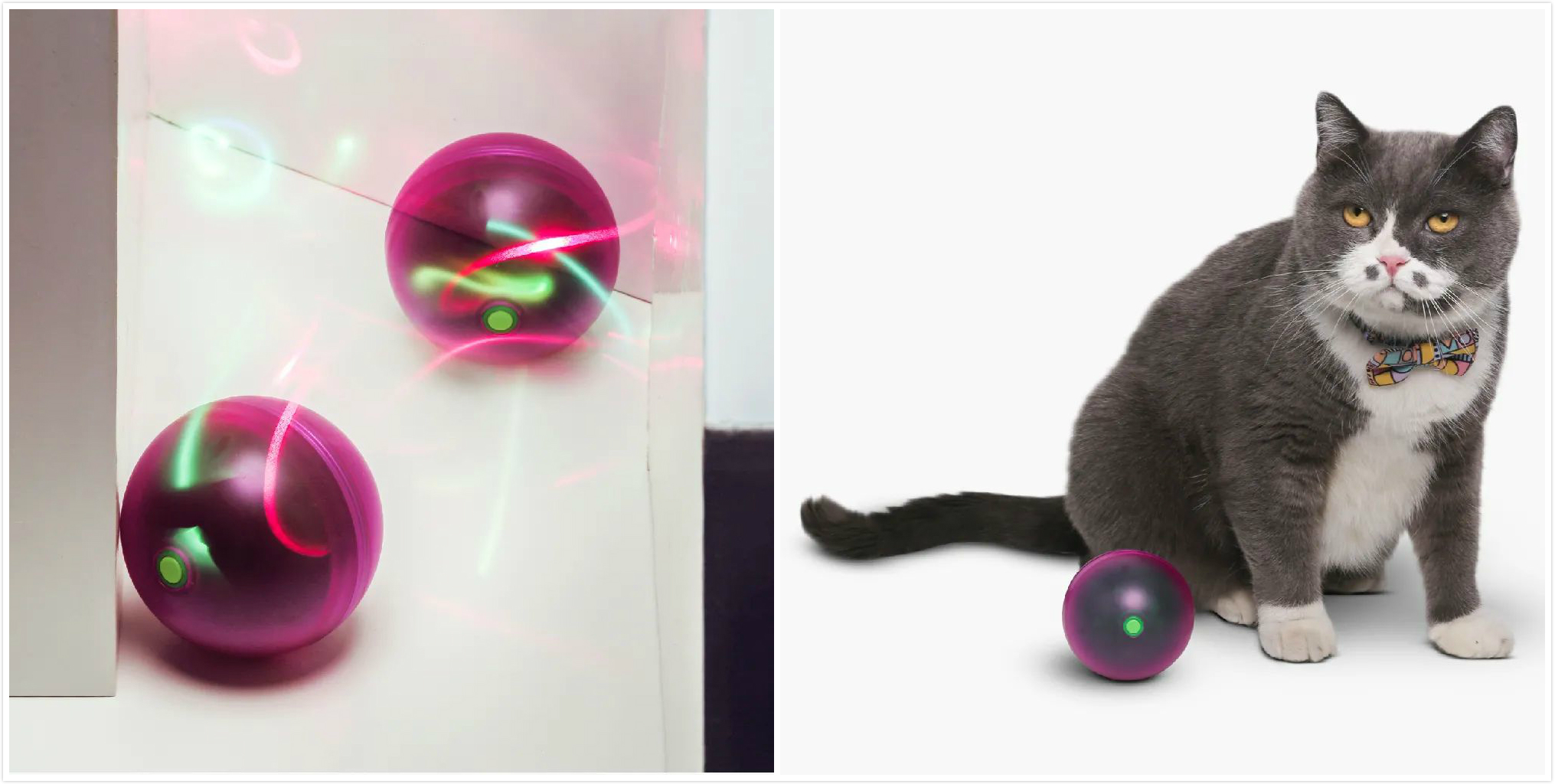 一切为了猫主子 | 设计，原来如此！ | 第一财经杂志